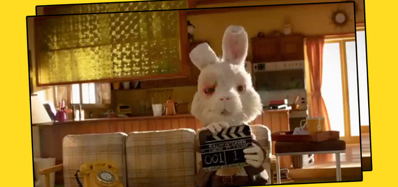 ¿Cómo tú puedes ayudar al conejo Ralph?